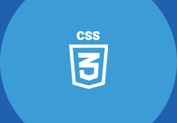 Curso Front-End com HTML5, CSS3 e JavaScript | Online Ao Vivo
